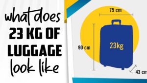 What Does 23 Kg Of Luggage Look Like: A Visual Guide